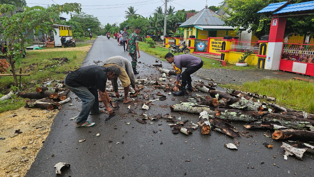Membahayakan Pengendra dan Siswa SD, Pohon Lapuk Ditumbangkan Polisi ... Membahayakan Pengendra dan Siswa SD, Pohon Lapuk Ditumbangkan Polisi ...